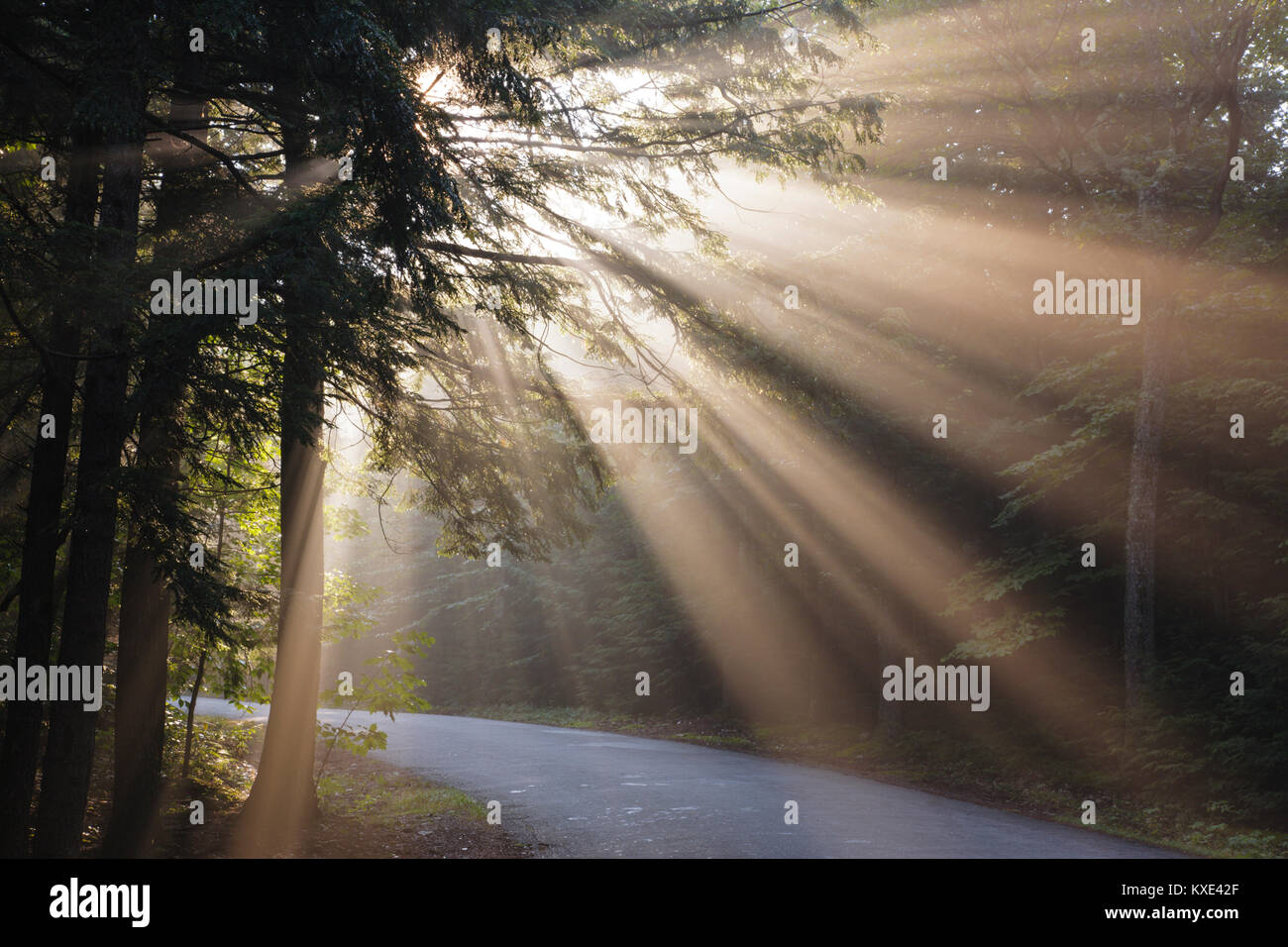 Ledge road hi-res stock photography and images - Alamy