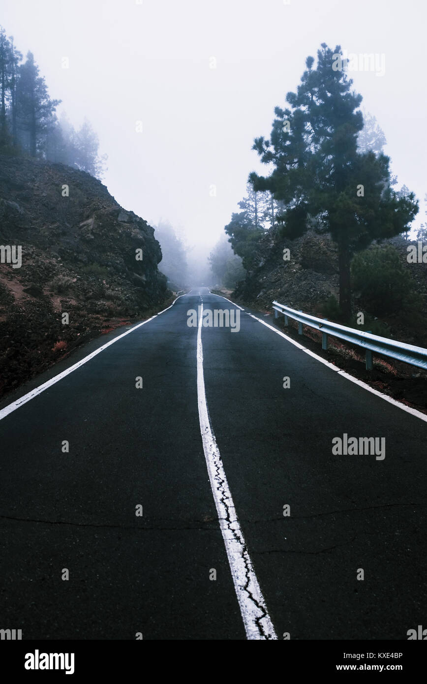 Beautiful road in the fog Stock Photo - Alamy
