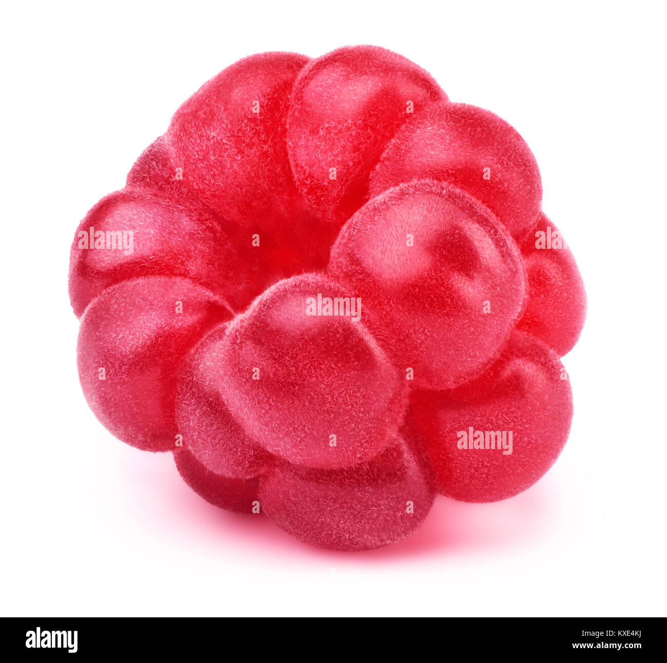 Ripe raspberry isolated Stock Photo - Alamy