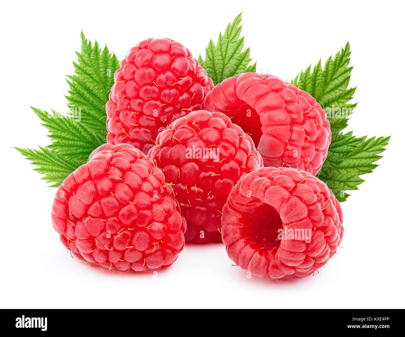 Five raspberries with leaves isolated Stock Photo - Alamy