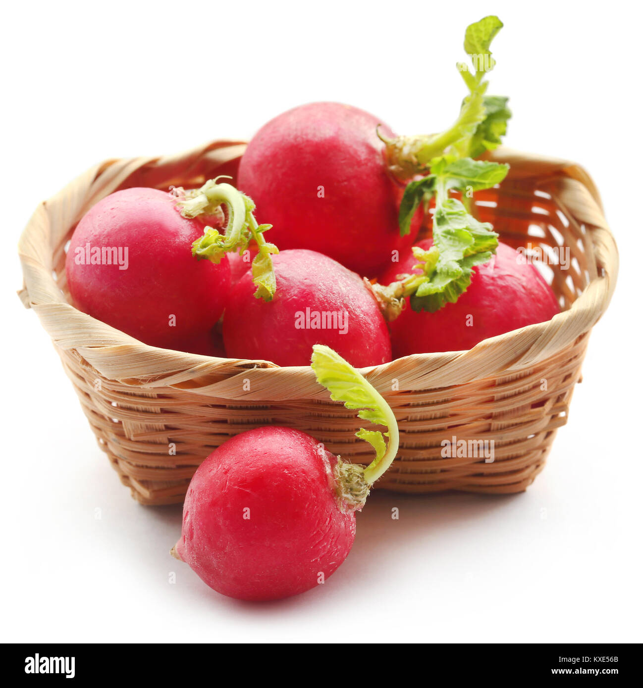 European radishes hi-res stock photography and images - Alamy