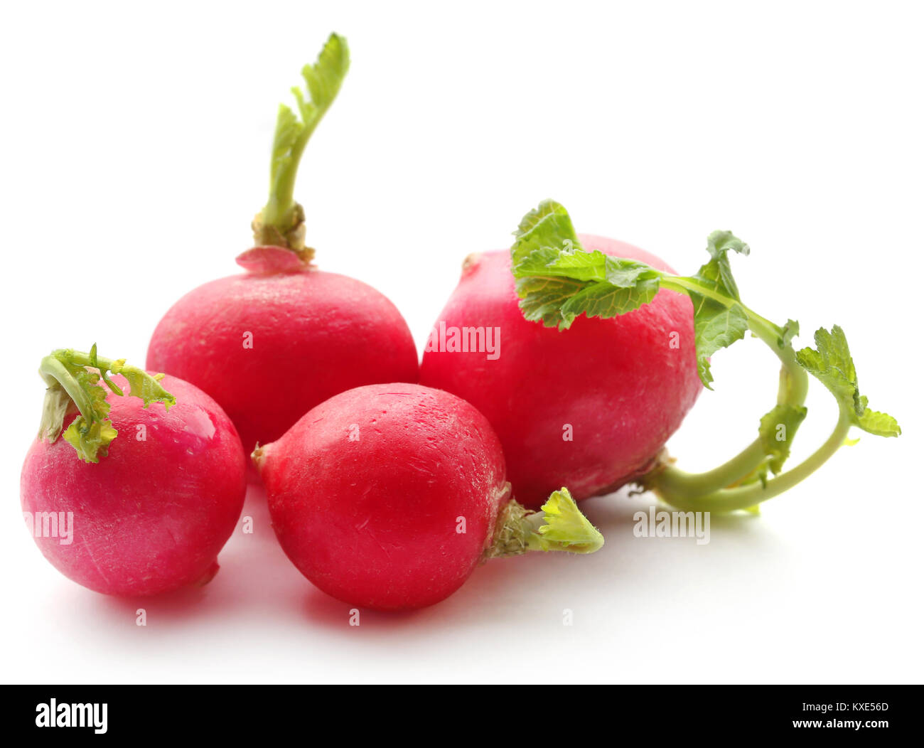 Round tuber Cut Out Stock Images & Pictures - Alamy
