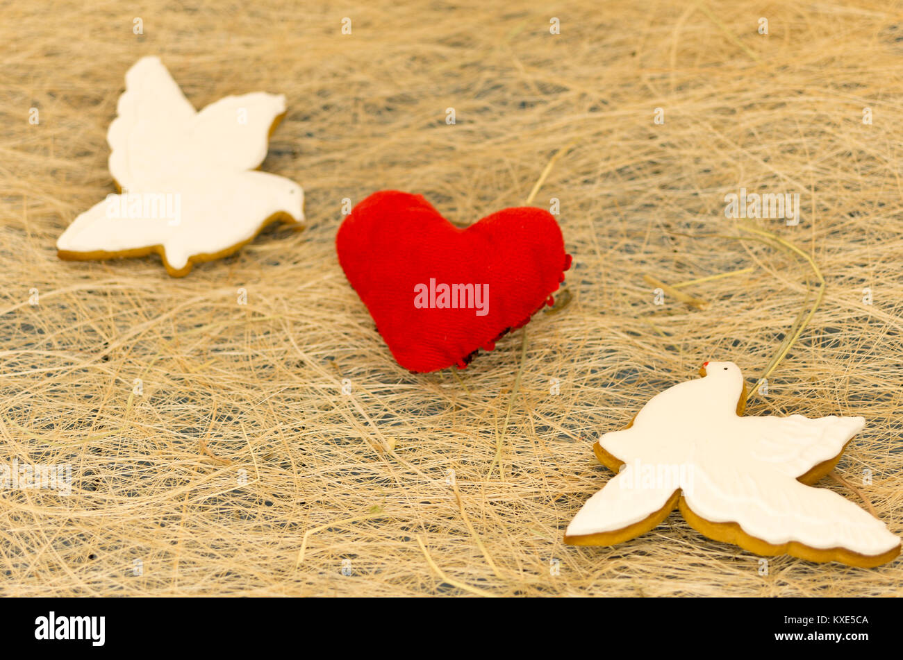 Pigeons heart shape hi-res stock photography and images - Alamy