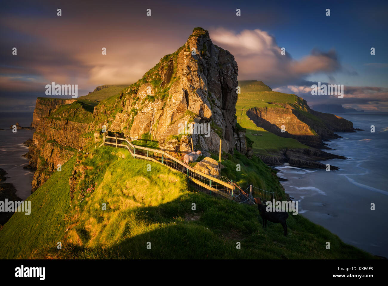Faroe islands mykines path hi-res stock photography and images - Alamy