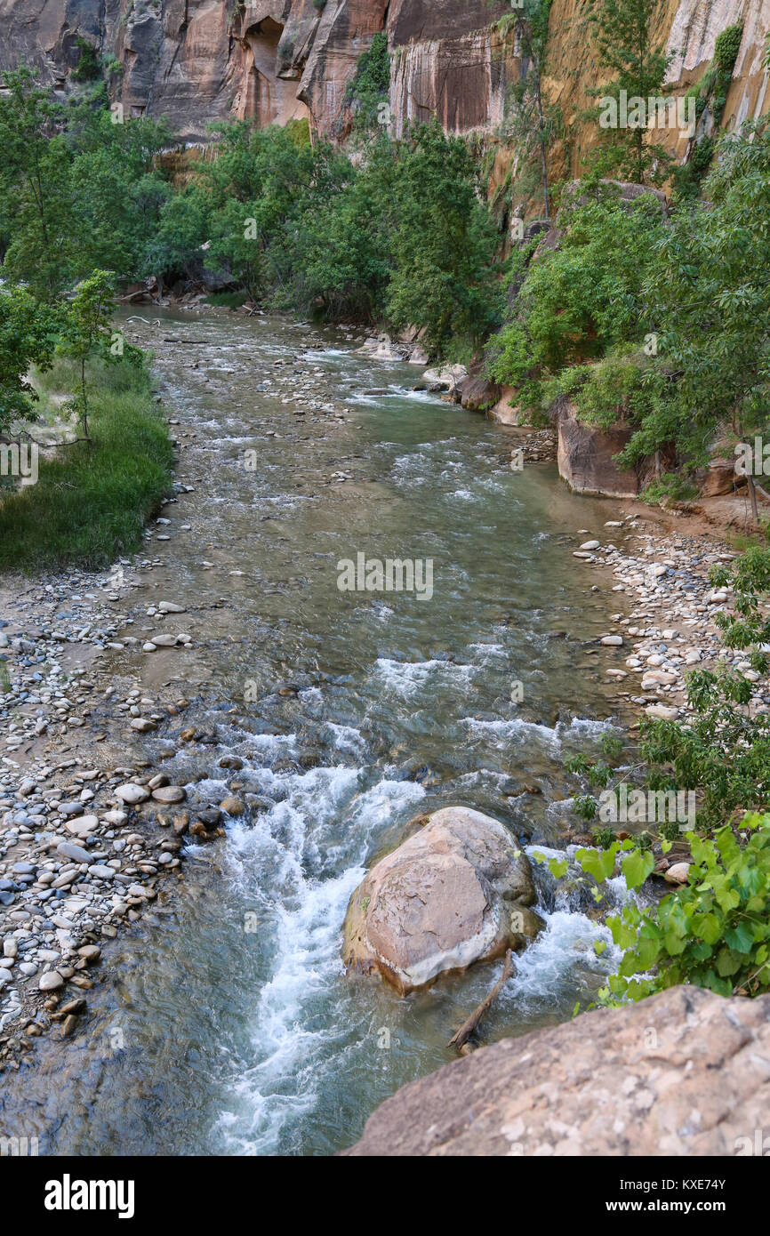 A scene along the Riverside Walk in Zion Canyon Stock Photo - Alamy