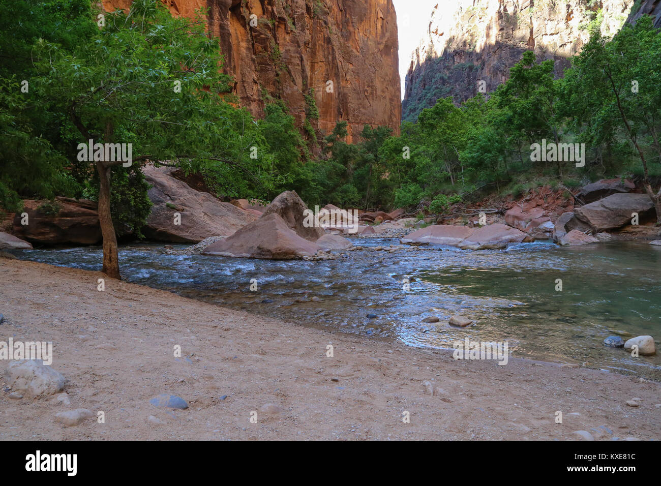 A scene along the Riverside Walk in Zion Canyon Stock Photo - Alamy