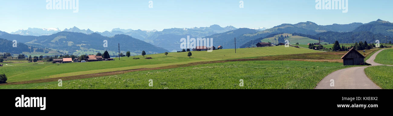 Panorama of green fields and road in Switzerland Stock Photo - Alamy