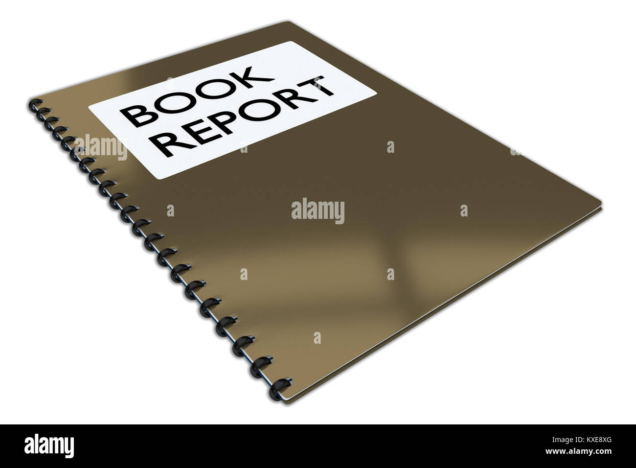 3D illustration of BOOK REPORT script on a booklet, isolated on white ...