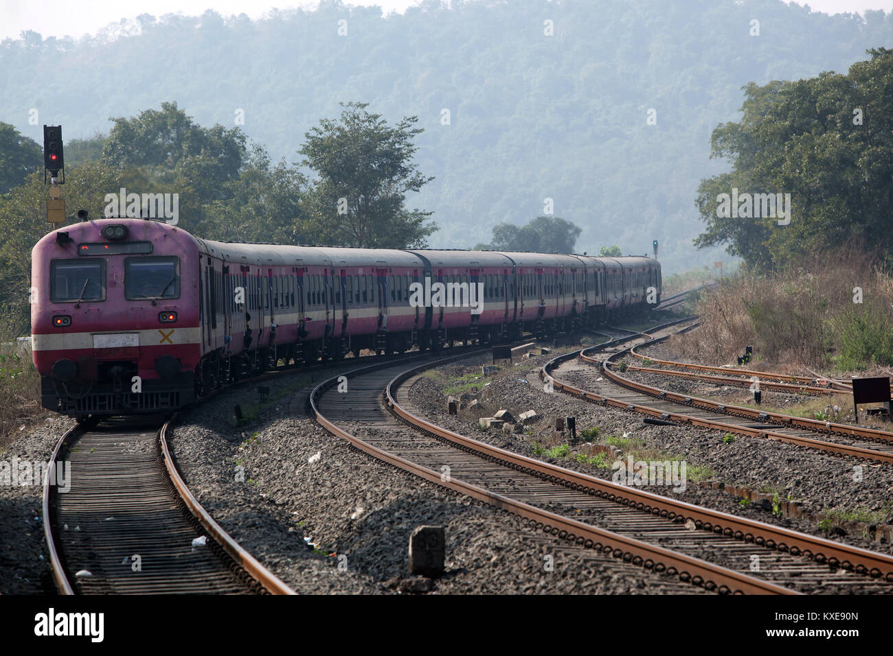 A small Indian train entering the wild forest area after departing from ...