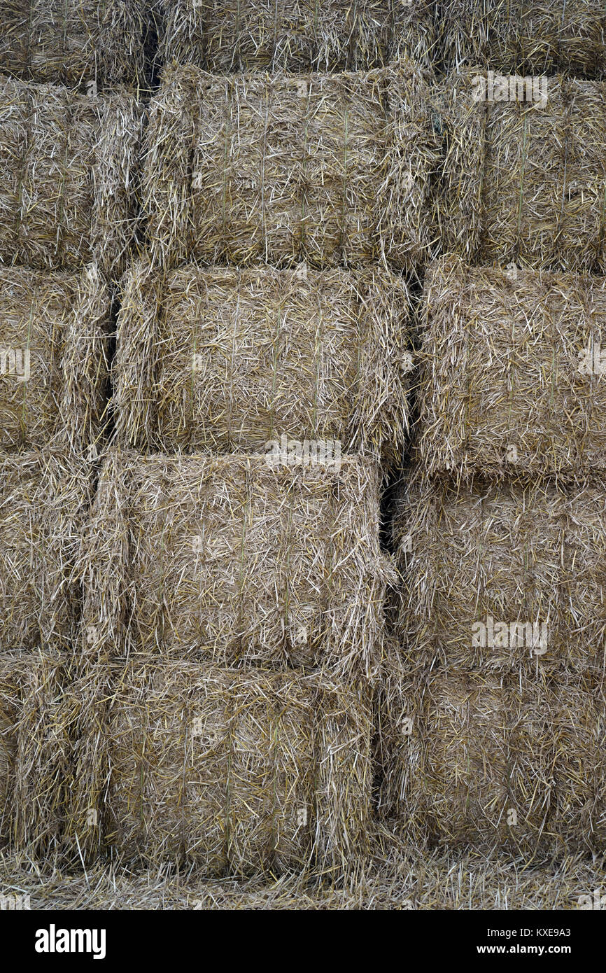 Wall of hay brick on the farm Stock Photo - Alamy