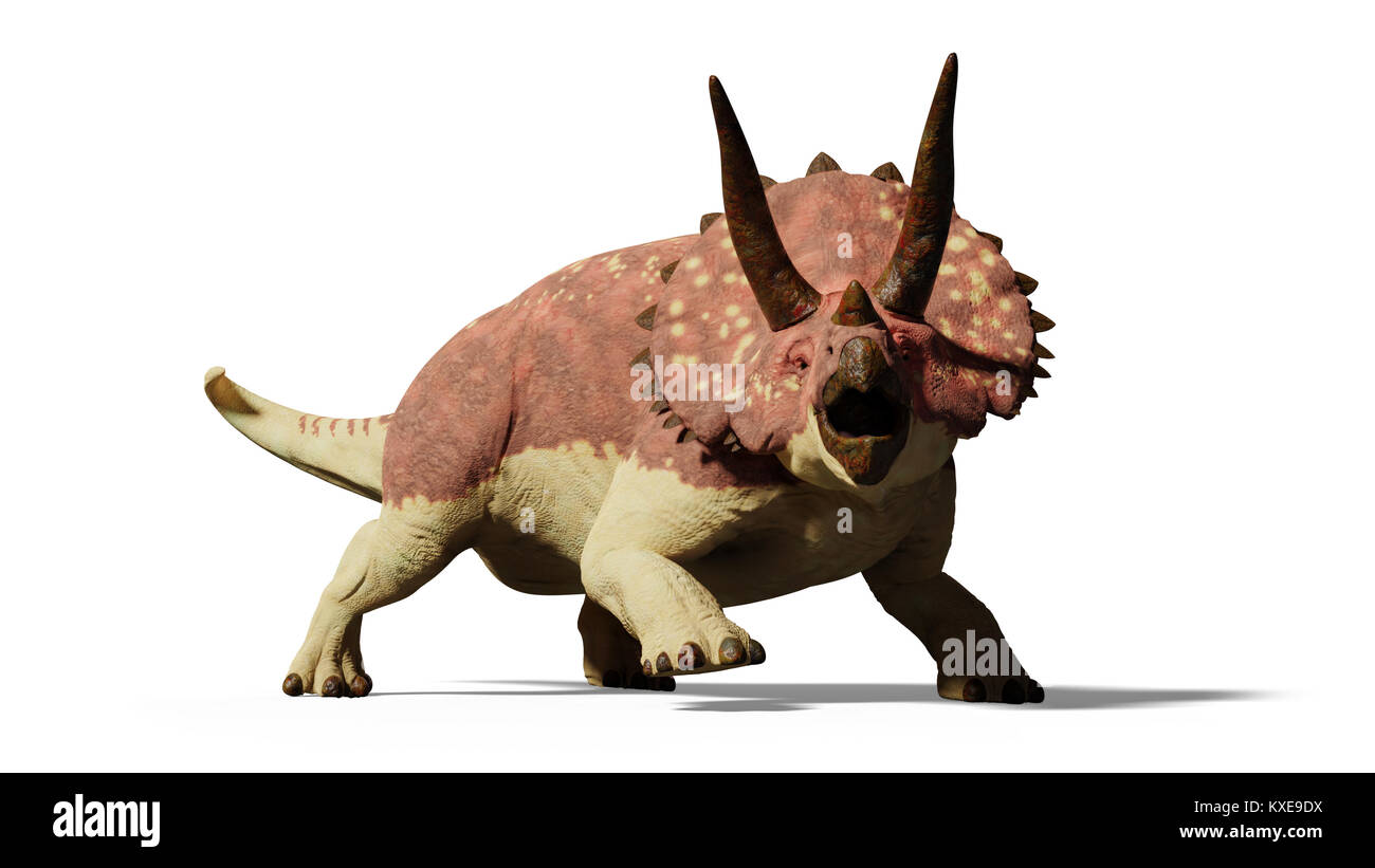 Triceratops dinosaur 3d render hi-res stock photography and images - Alamy