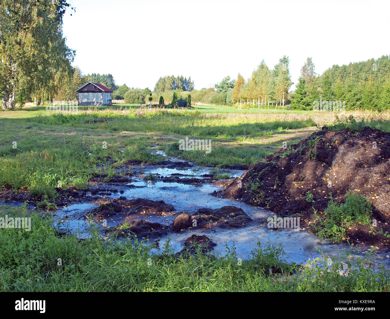 Big water puddles in garden after rain Stock Photo - Alamy