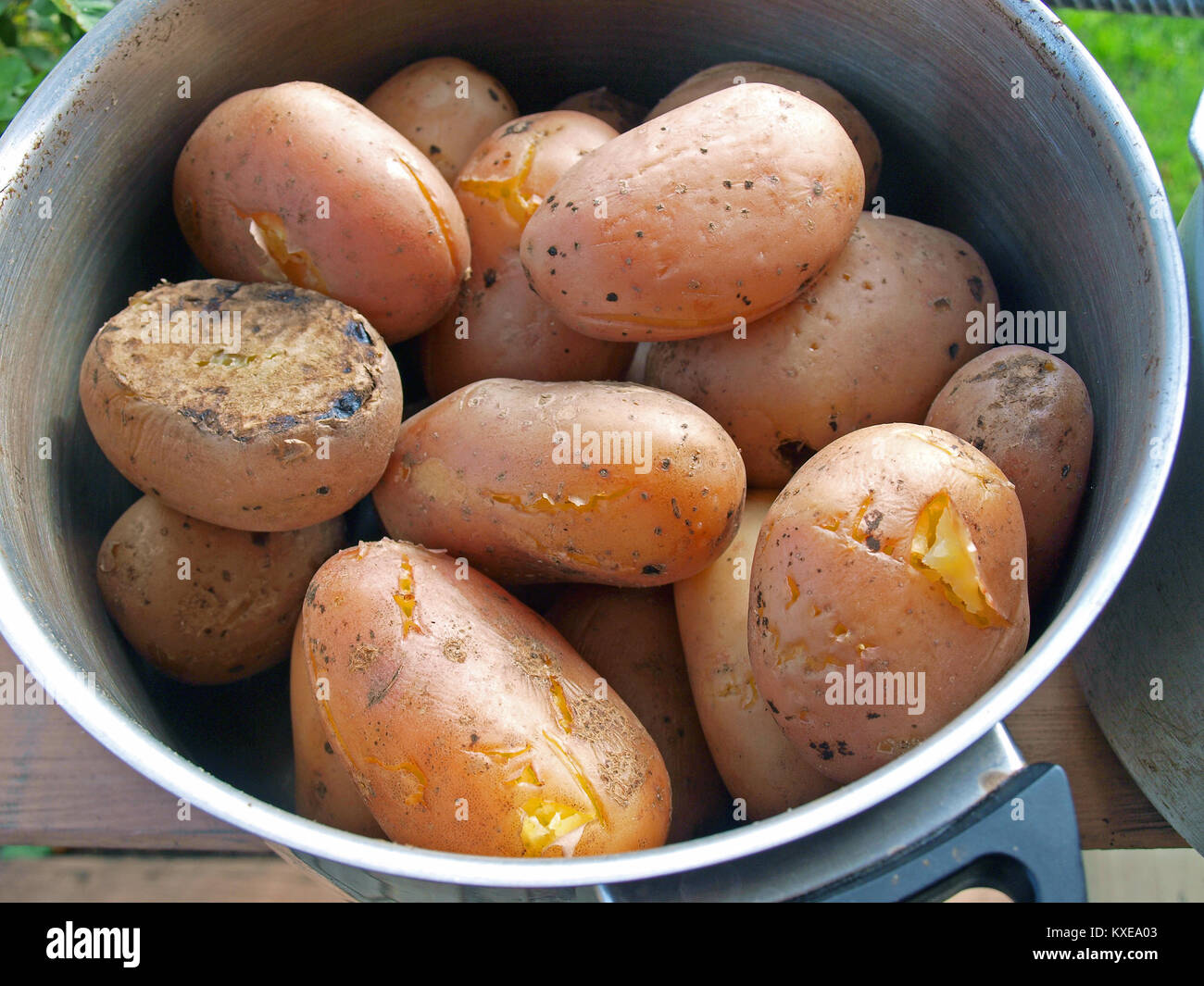 Kettle boiled hi-res stock photography and images - Alamy
