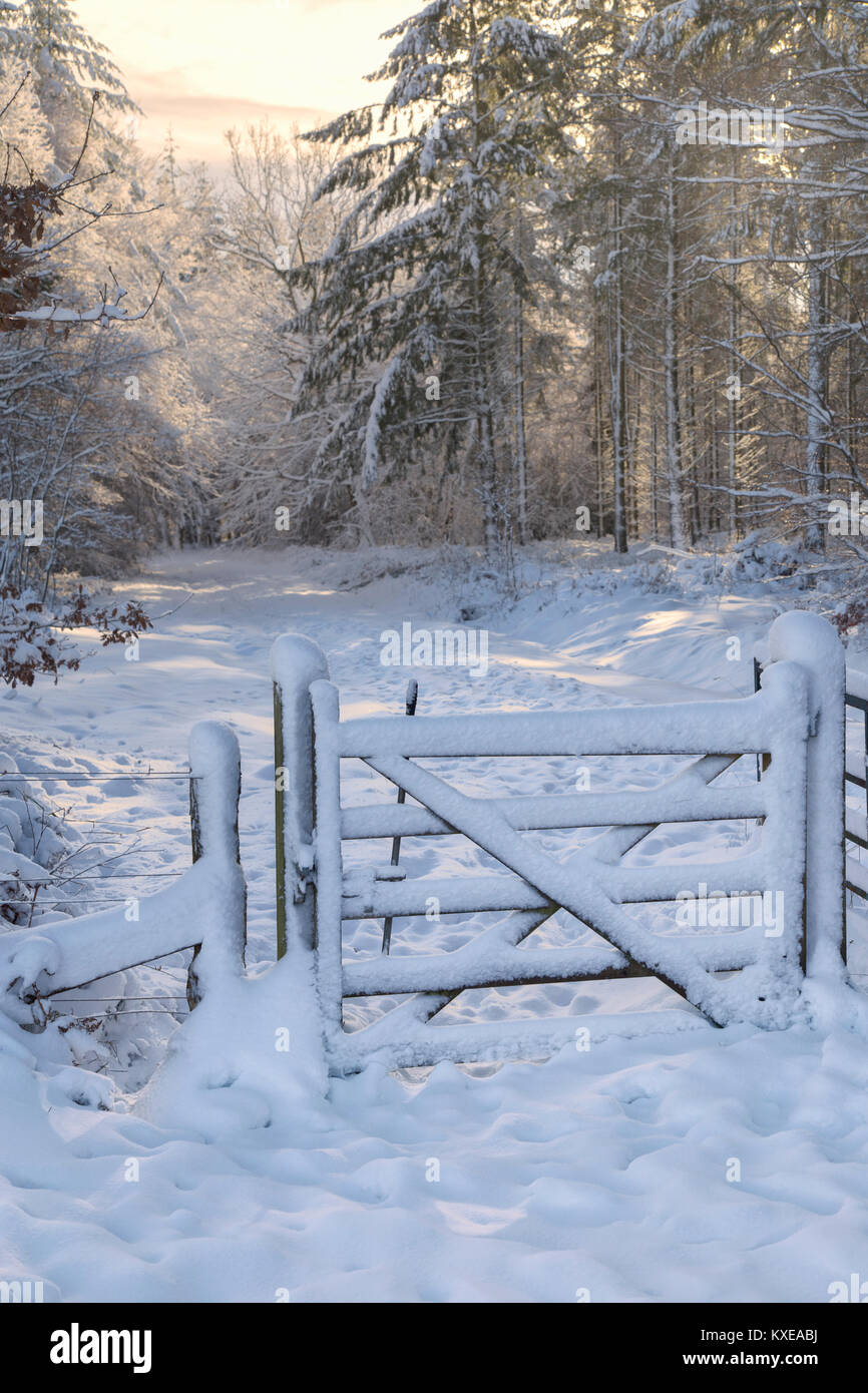 Covered gate hi-res stock photography and images - Alamy