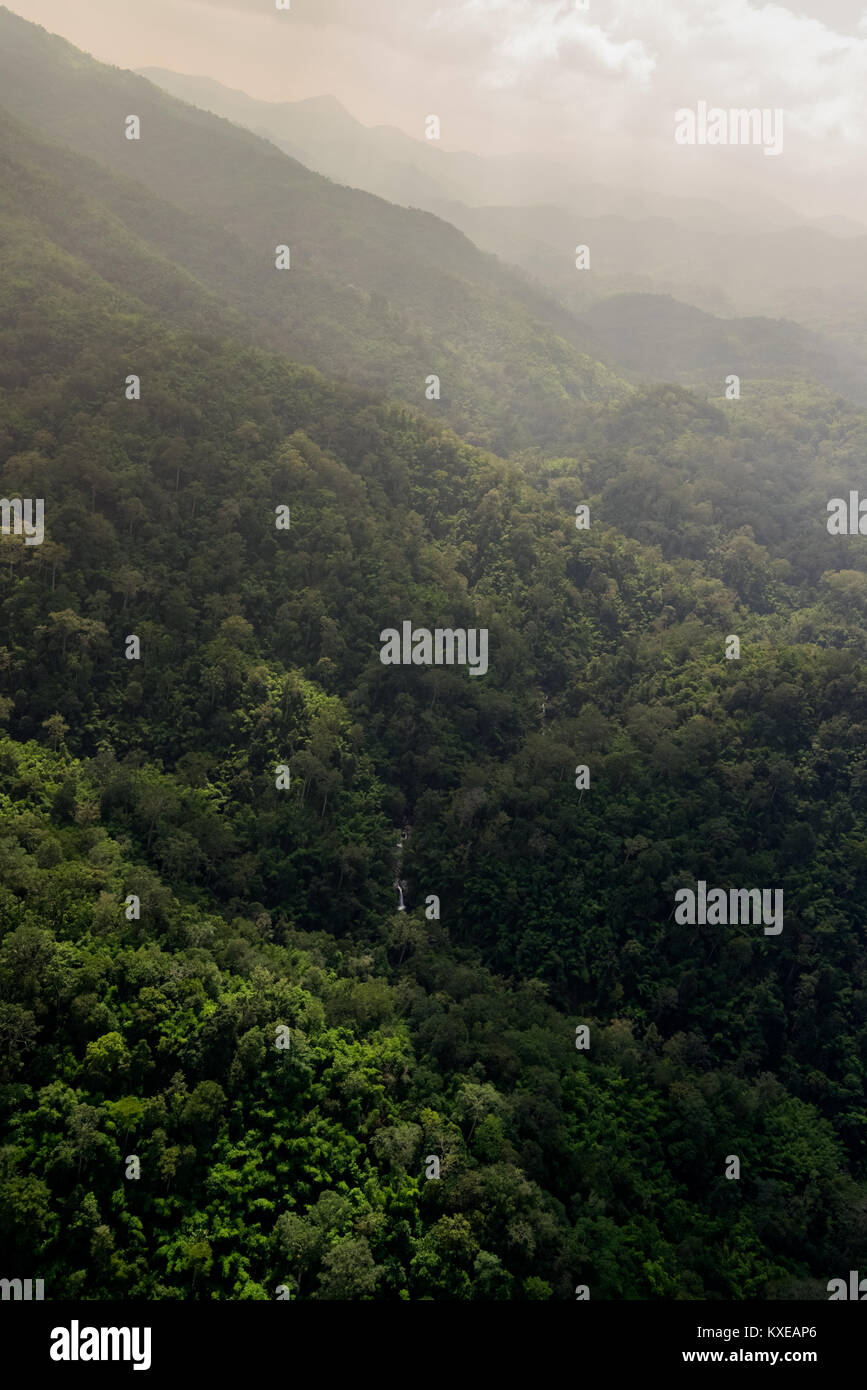 Aerial view of the forest Stock Photo - Alamy