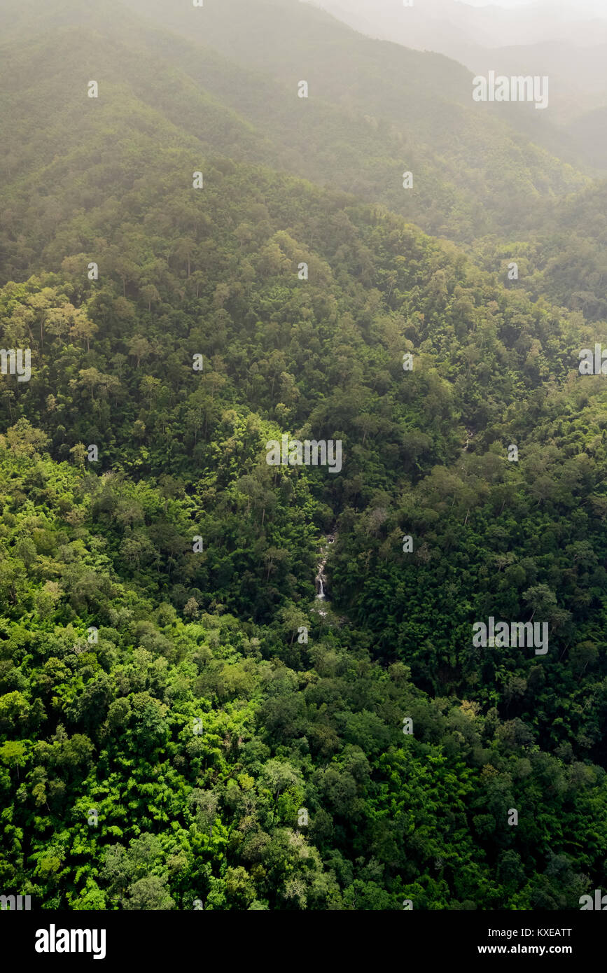 Aerial view of the forest Stock Photo - Alamy