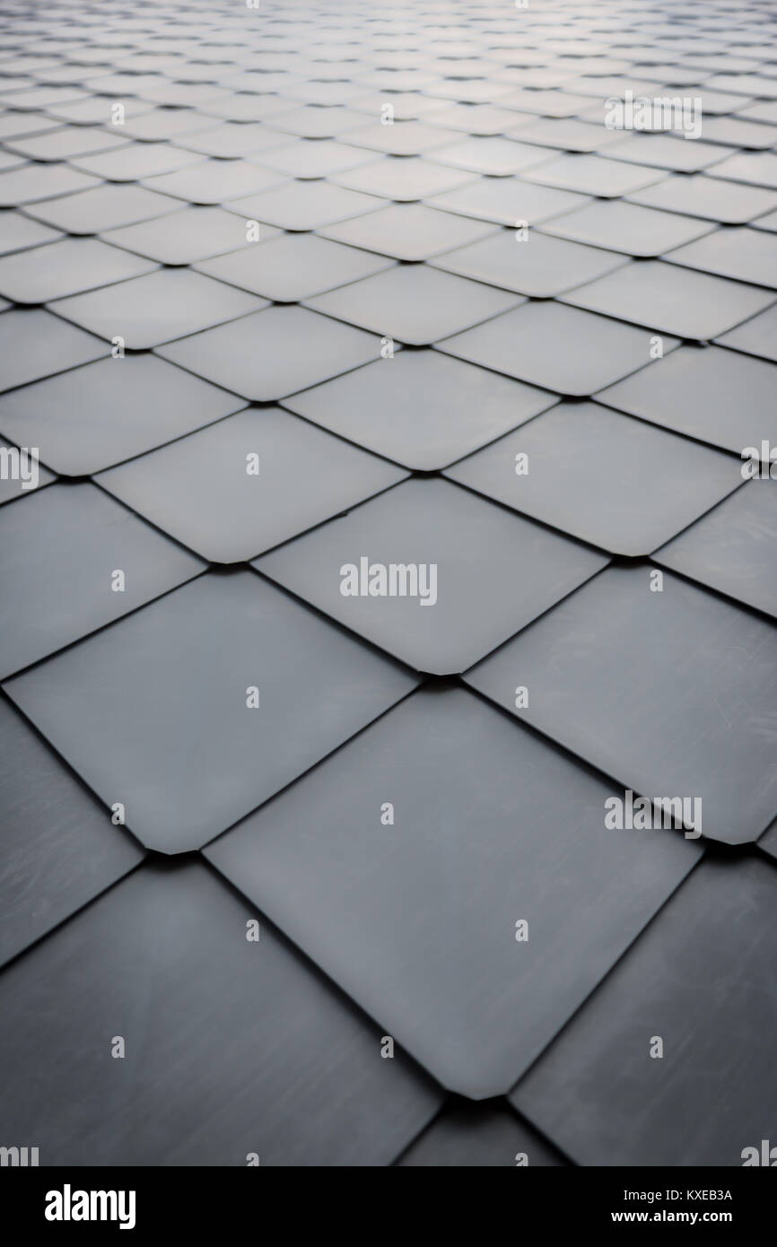 Diamond pattern snake hi-res stock photography and images - Alamy