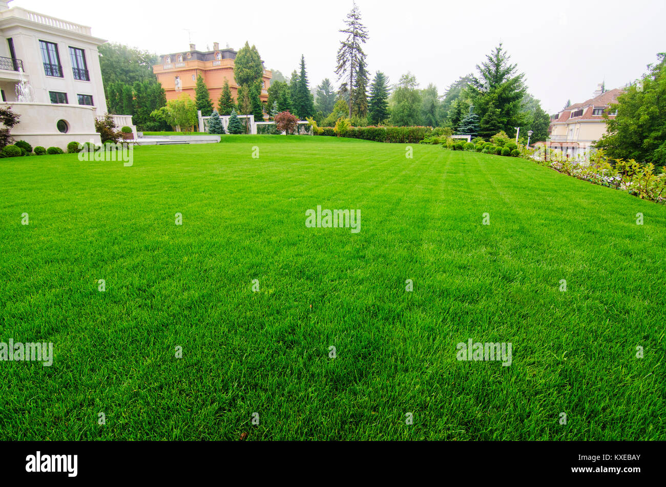 Beautiful lawn hi-res stock photography and images - Alamy