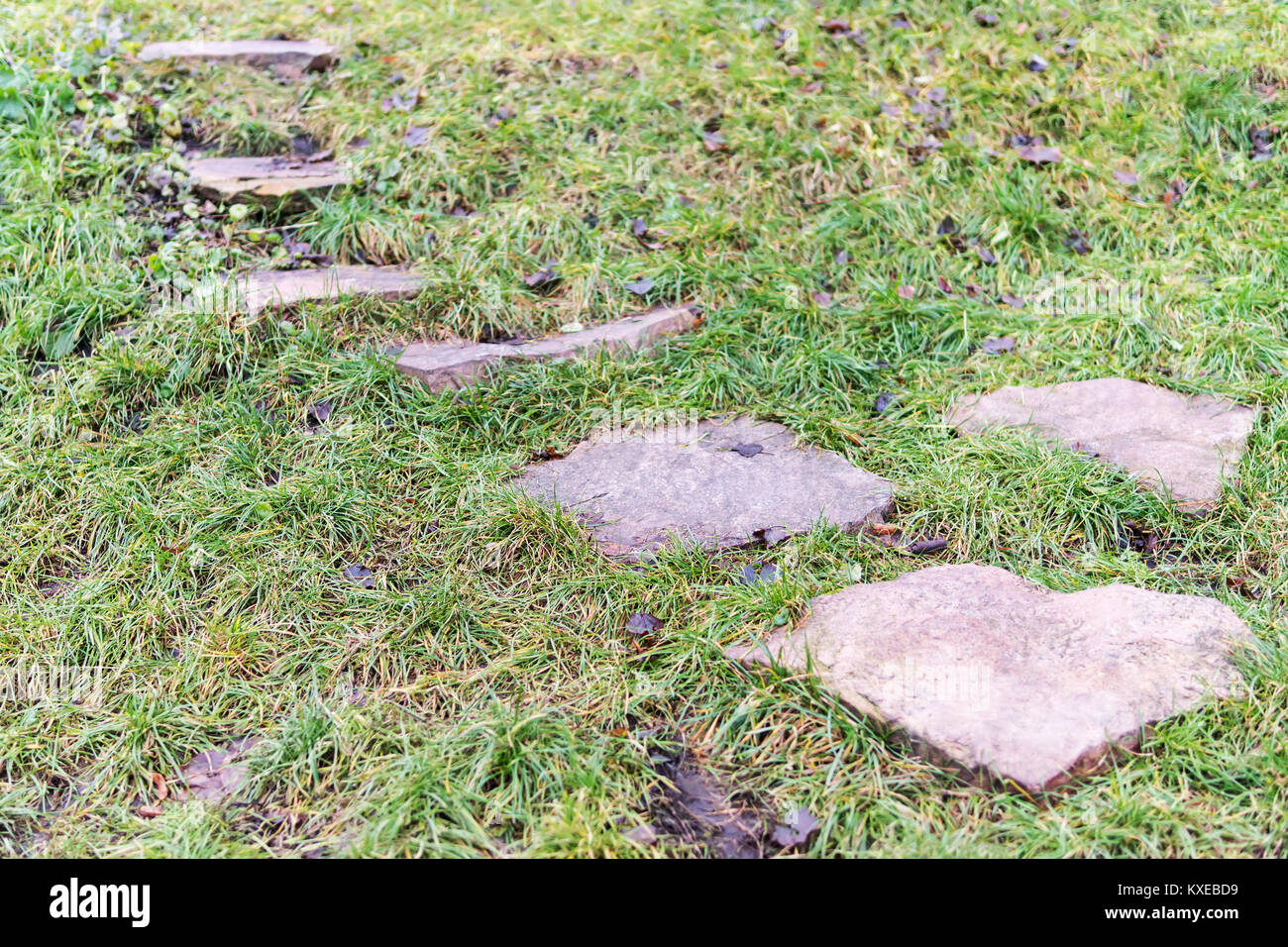 Path pathway leading upwards hi-res stock photography and images - Alamy