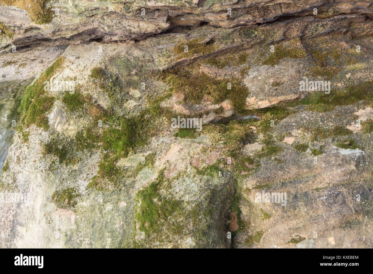 Texture of a mountain wall. Relief of the mountain. Rock texture Stock ...