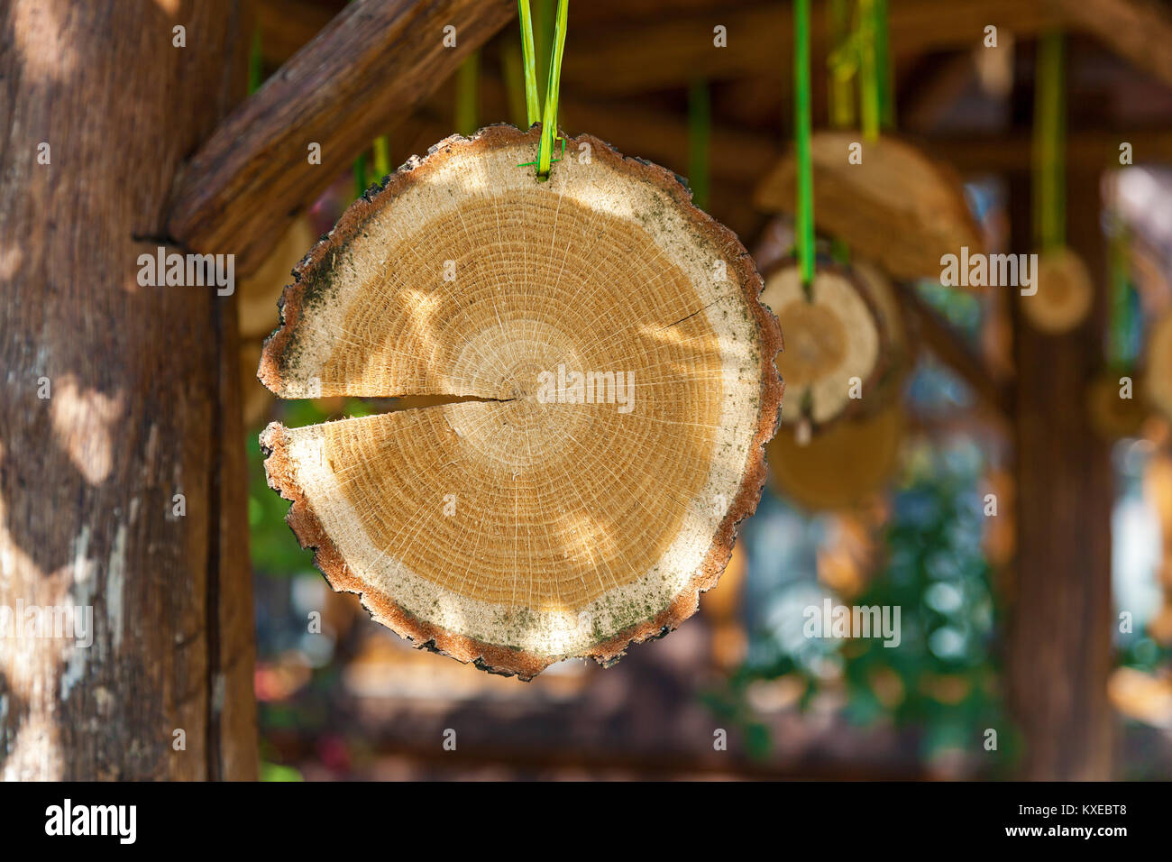 Smooth fresh cut tree wood with rings sawed in half Stock Photo - Alamy