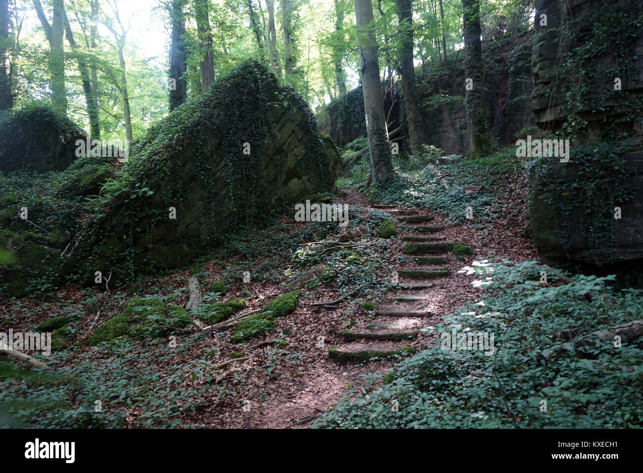 Hiking trail in the ravine with forest Stock Photo - Alamy