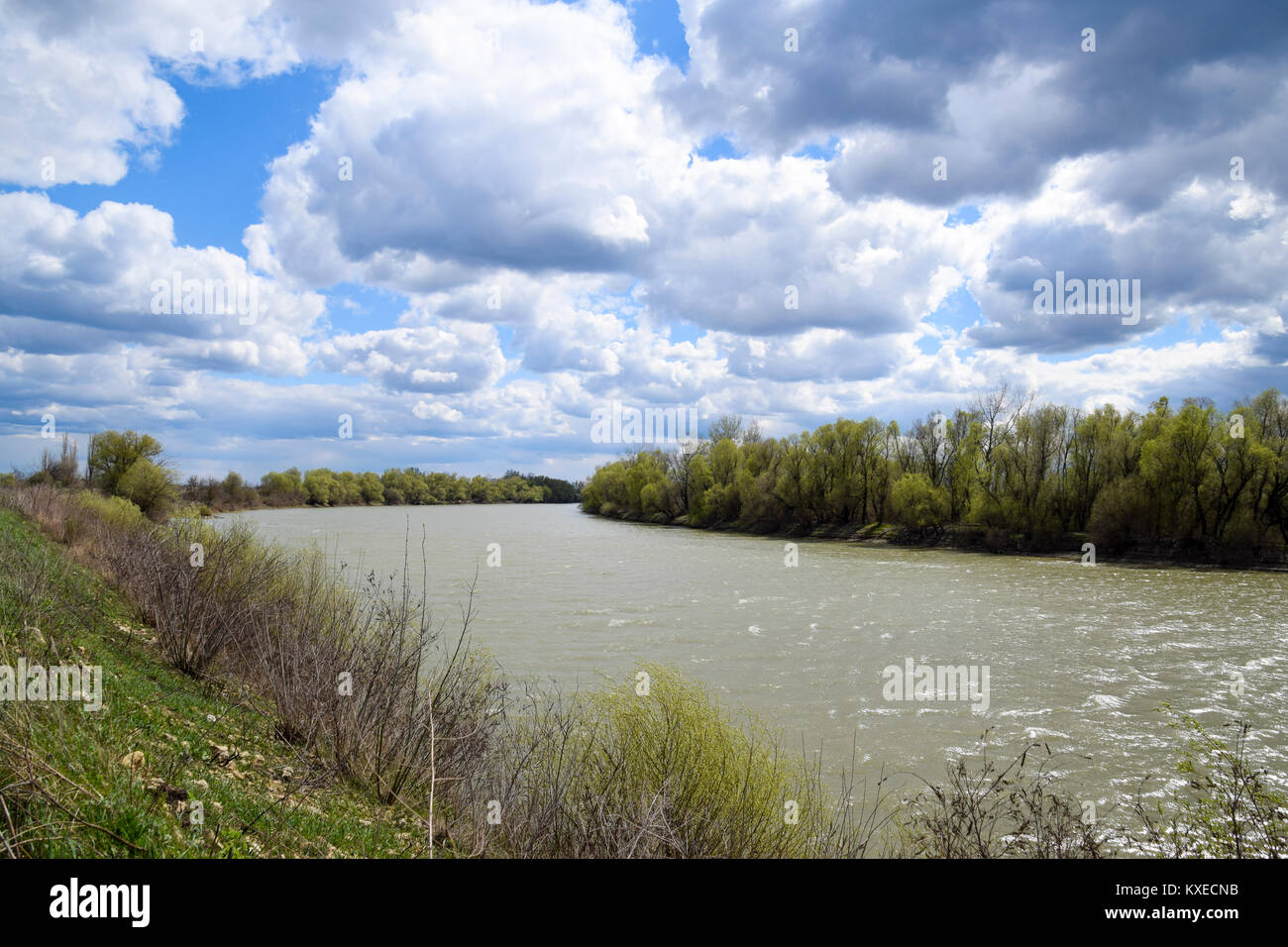 Spring landscape on the river. Spilling the river. Blossoming buds in ...