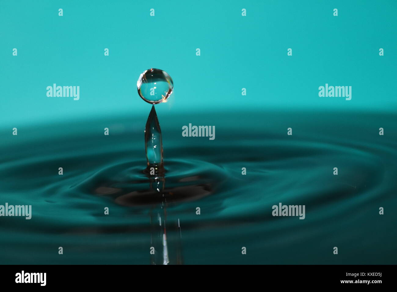 Water droplets photography drip drop shimmer pools of water reflecting ...