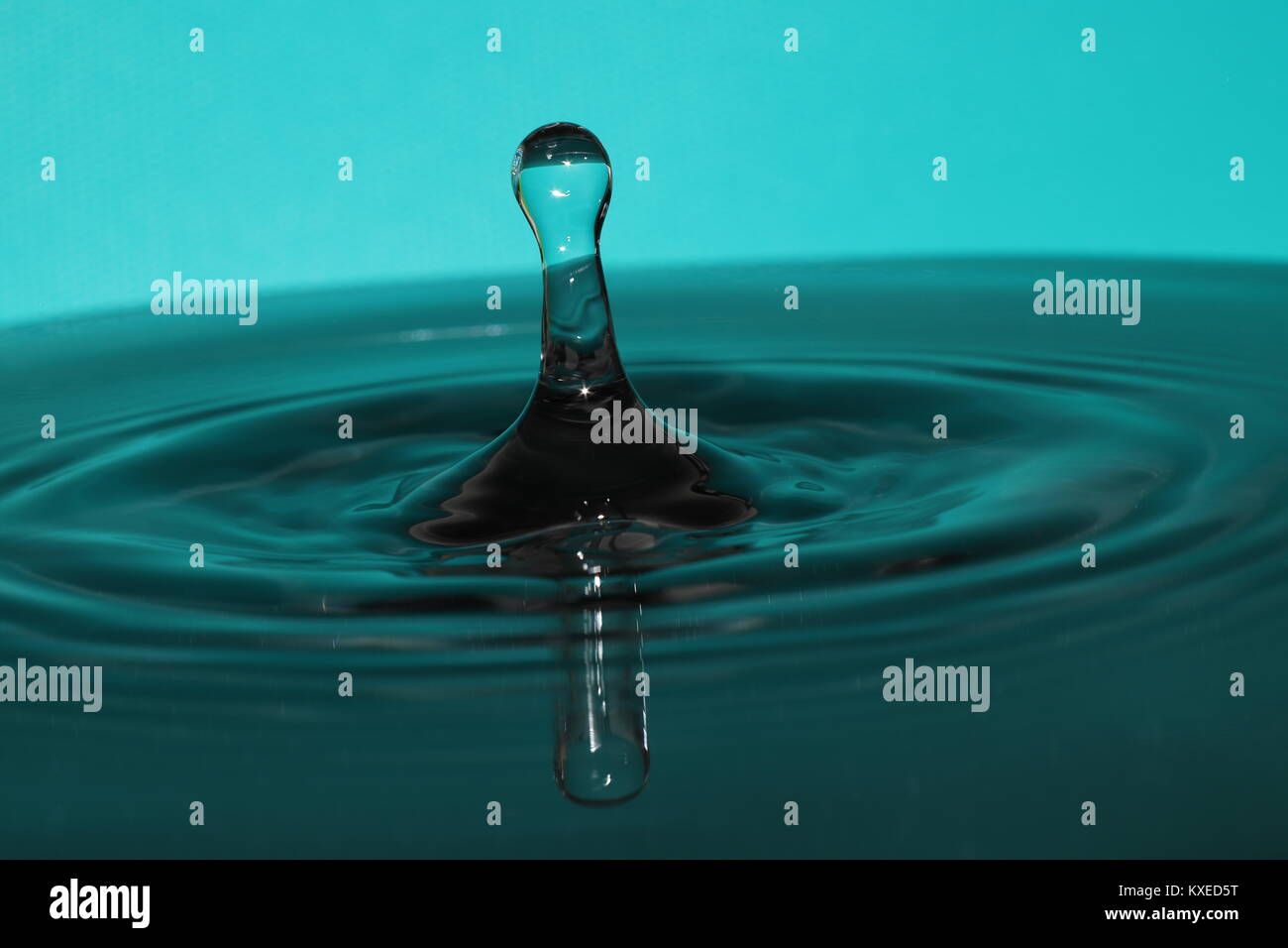 Water droplets photography drip drop shimmer pools of water reflecting ...