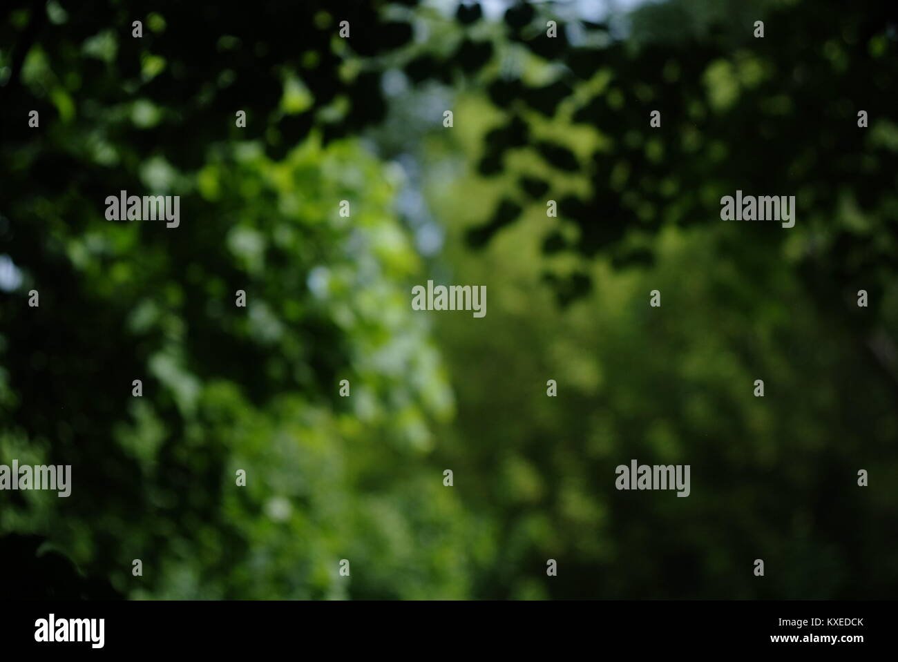Bokeh soft focus background hi-res stock photography and images - Alamy