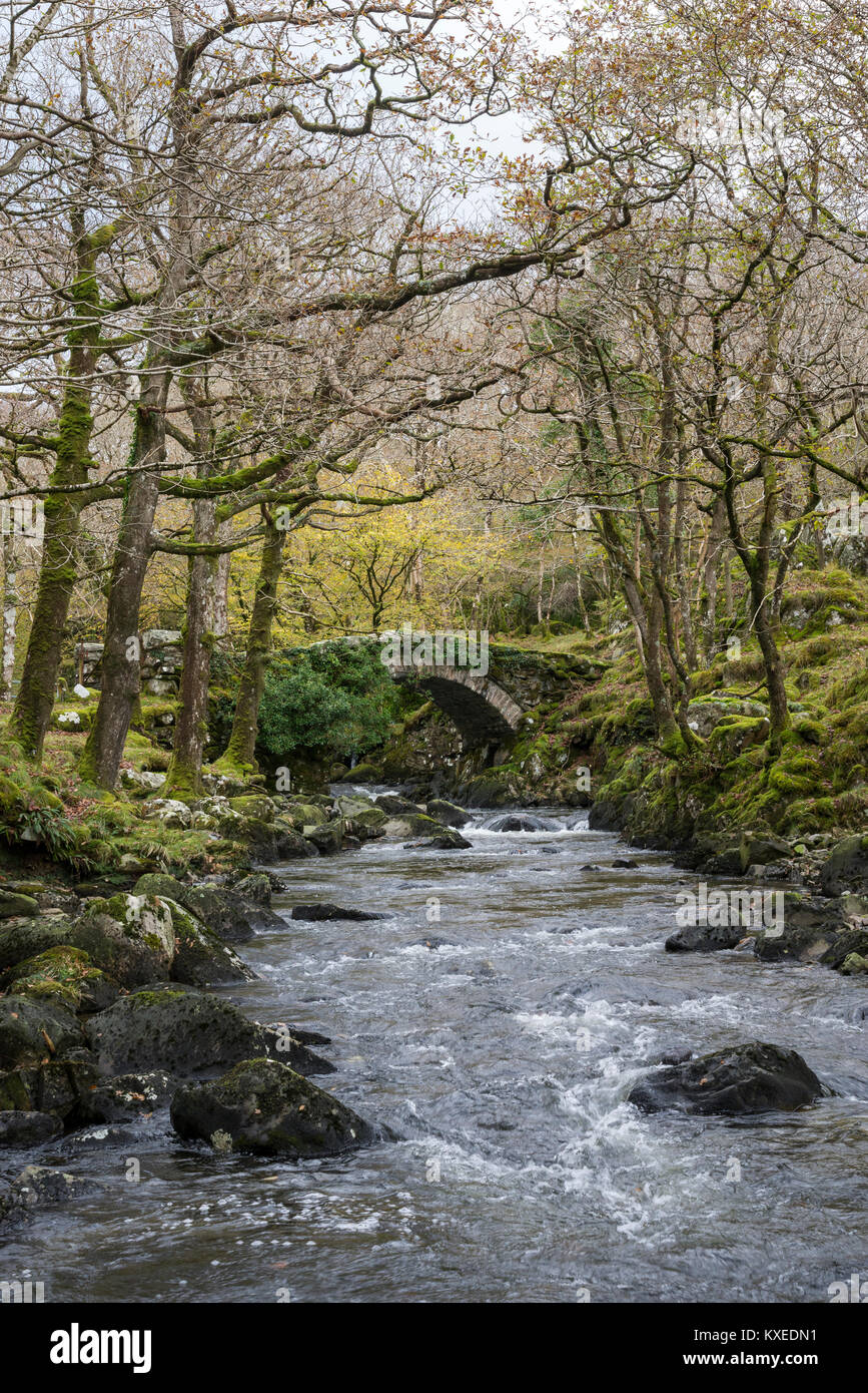 Afon artro river llanbedr hi-res stock photography and images - Alamy