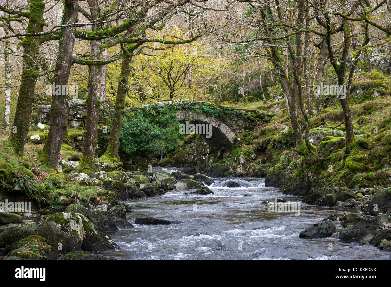 The Afon Artro at Pont Cwm-Yr-Afon near Llanbedr in North Wales. A ...