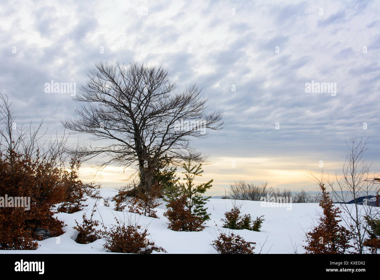 Winter scenic landscape at dusk with snow covered mountains and ...