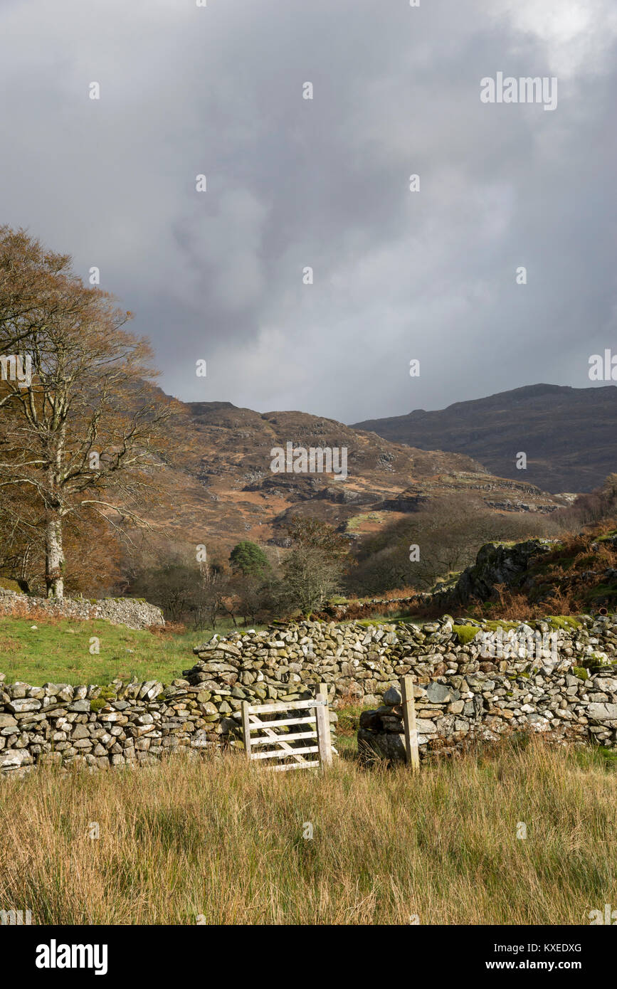 Cwm Bychan High Resolution Stock Photography and Images - Alamy