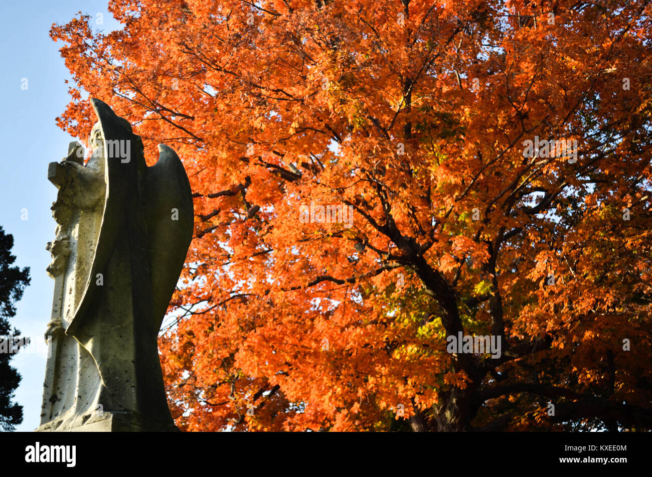 Statue of Angel in the Fall Stock Photo - Alamy
