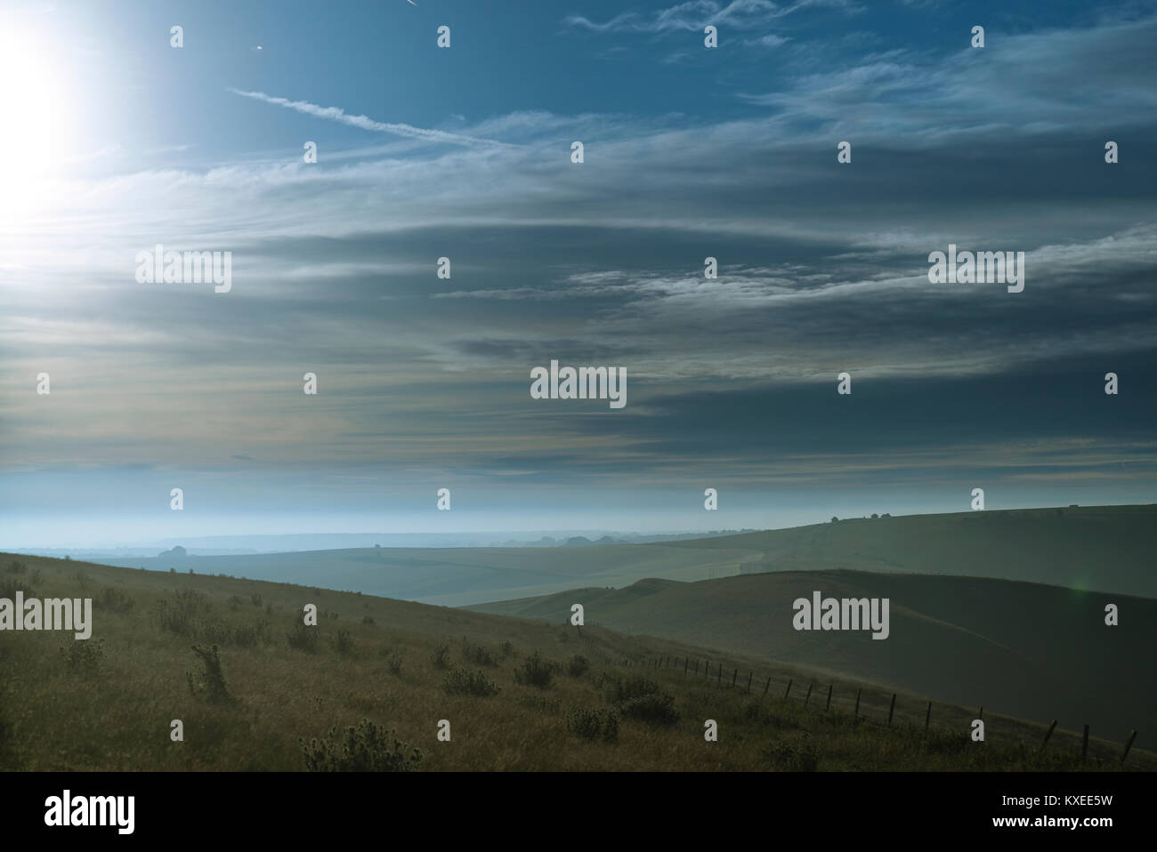 Blue point mis hi-res stock photography and images - Alamy