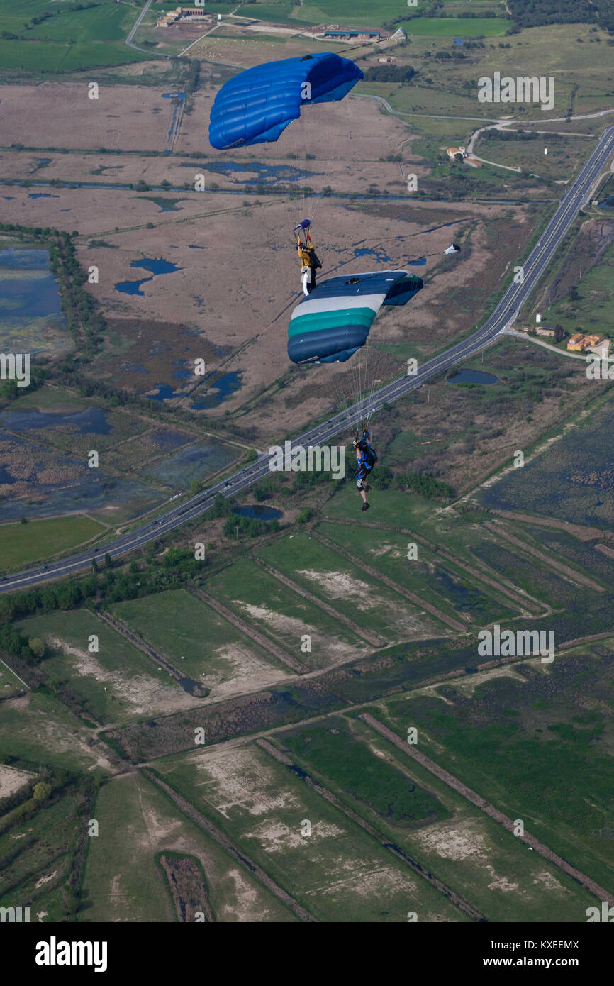 Canopy formation hi-res stock photography and images - Alamy