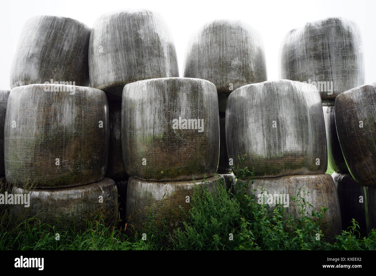 Plastic hay rolls hi-res stock photography and images - Alamy