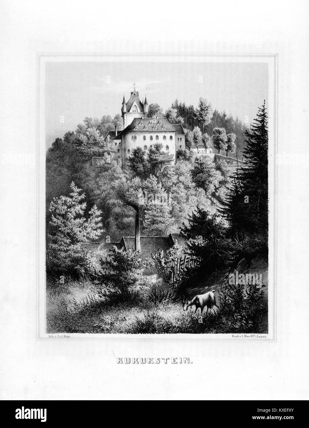 A collection of historical illustrations showing castles and manors ...