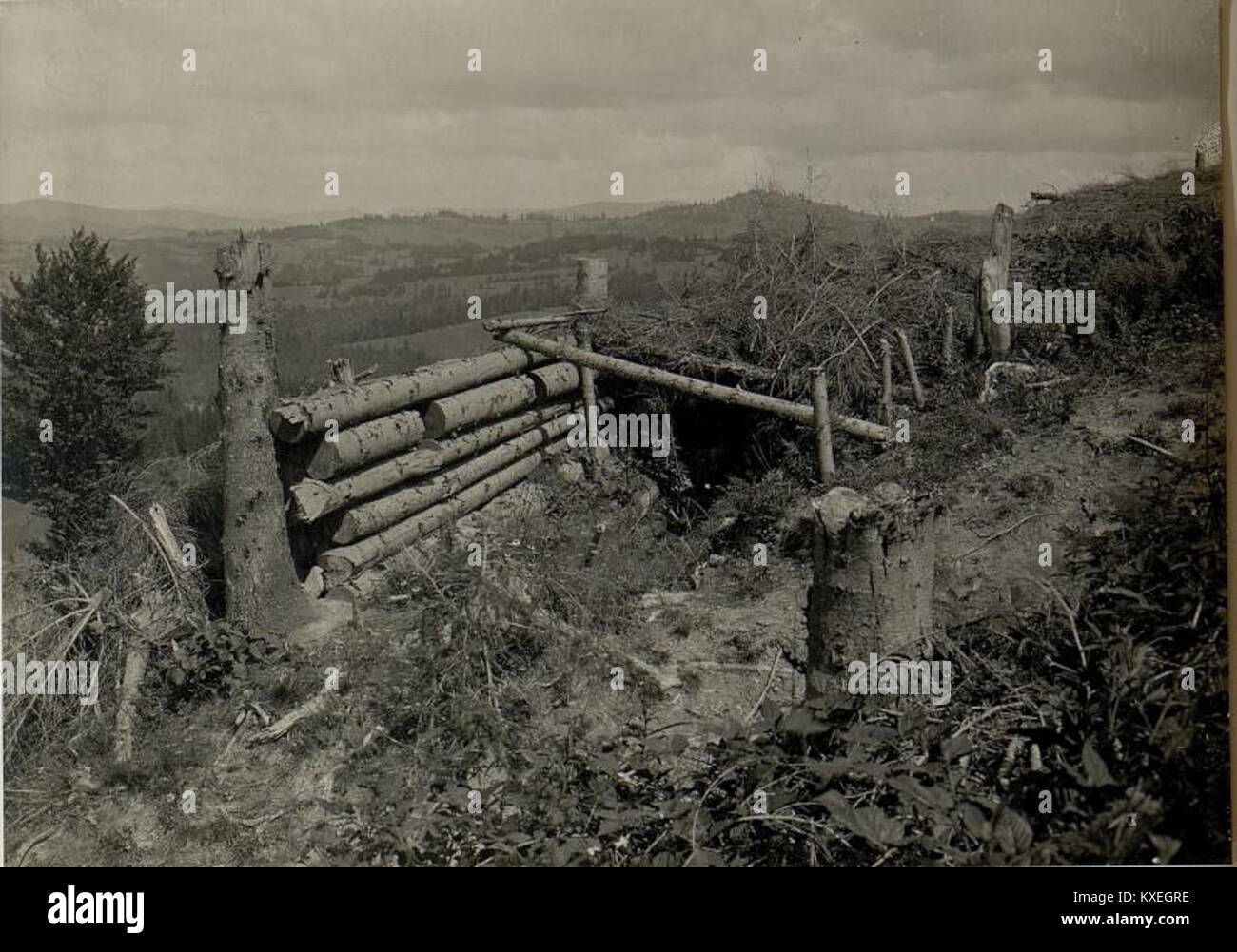 Deterioration environment hi-res stock photography and images - Alamy