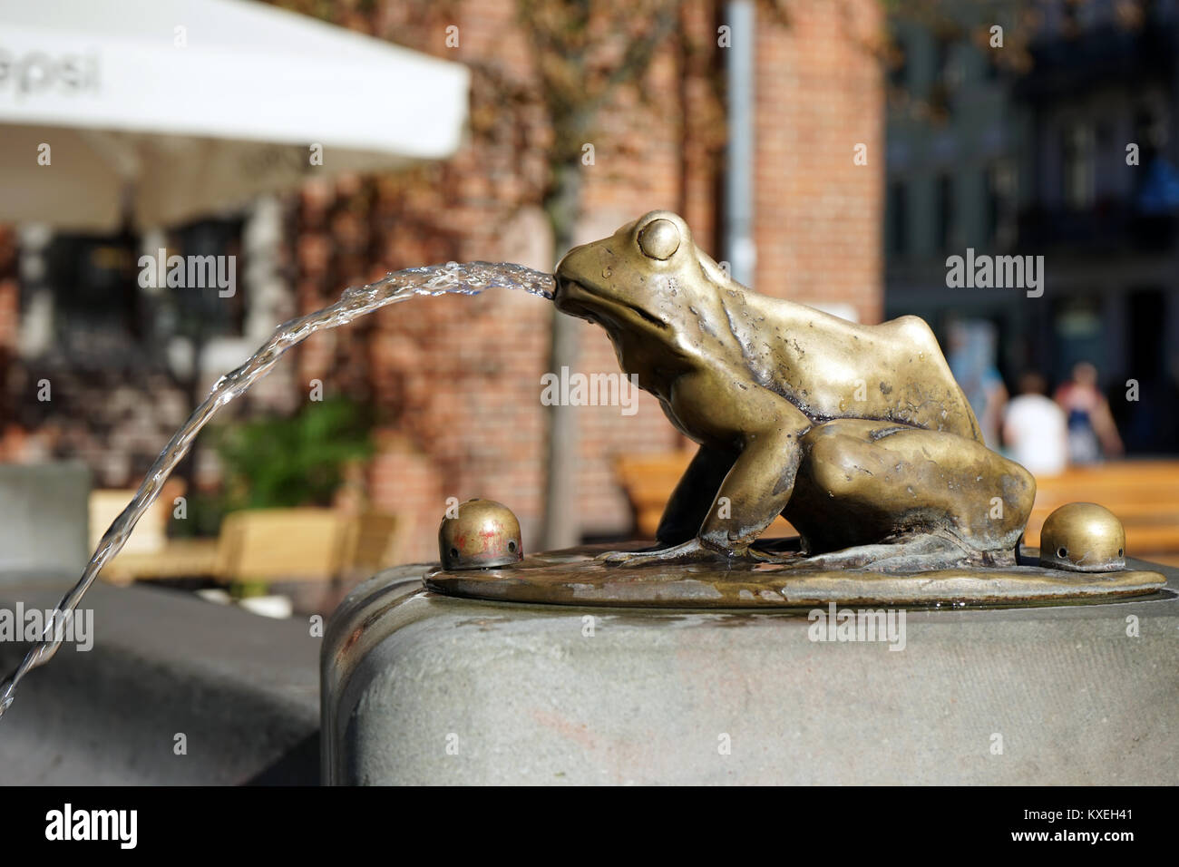 TORUNJ, POLAND - CIRCA AUGUAT 2016 Bronze frog Stock Photo - Alamy