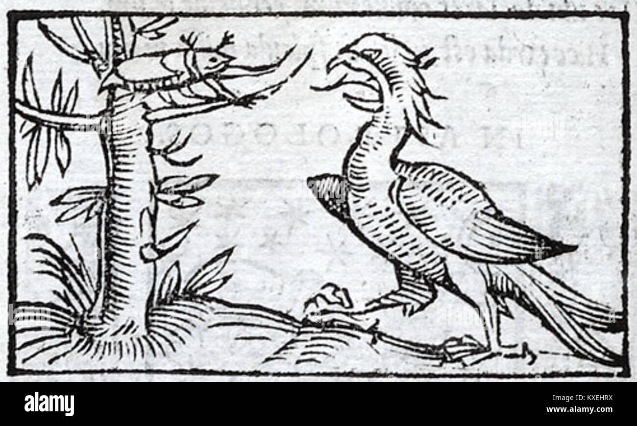 An emblem illustration from Andrea Alciato’s 'Book of Emblems ...