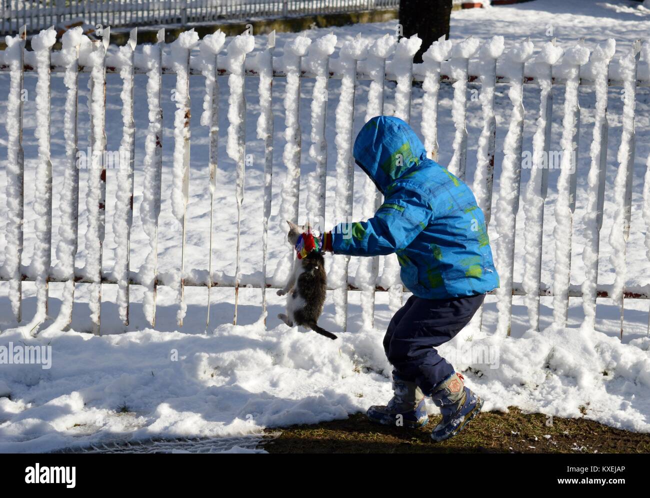 the boy caught the cat Stock Photo - Alamy