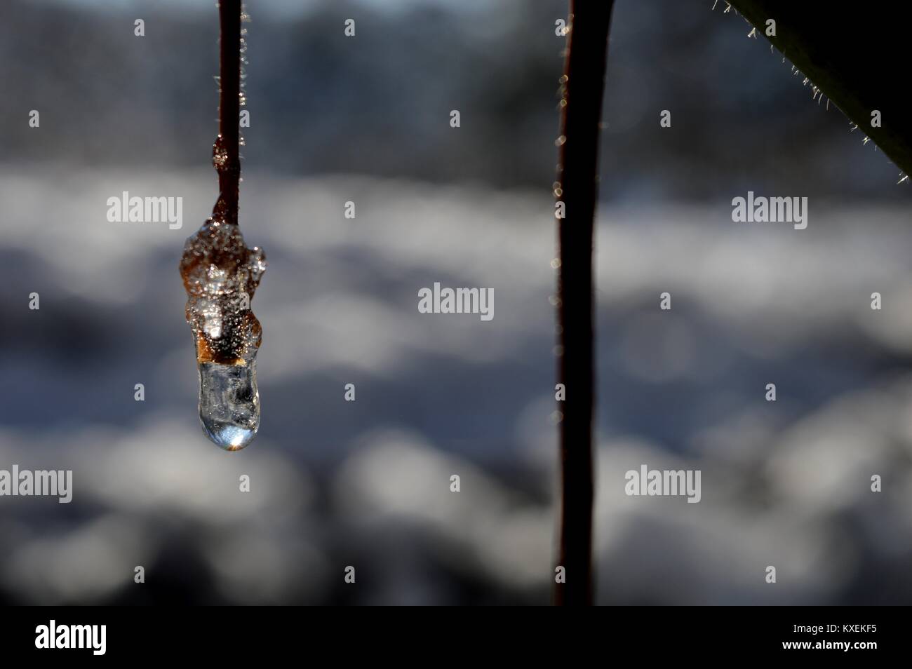 droplets, snow and ice Stock Photo - Alamy
