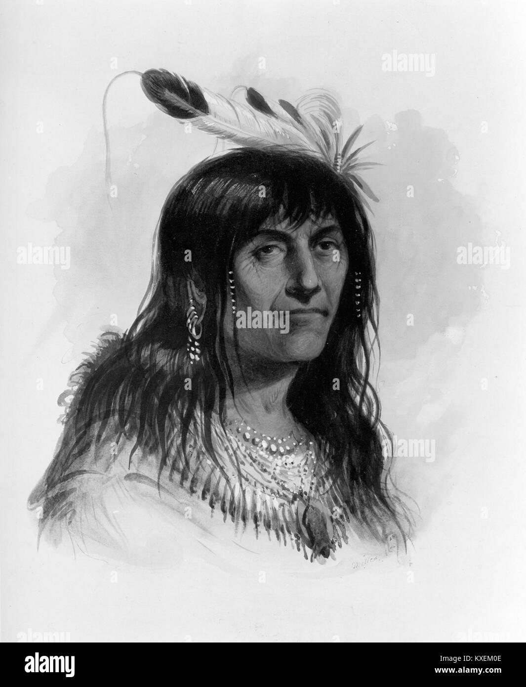 Big crow Black and White Stock Photos & Images - Alamy