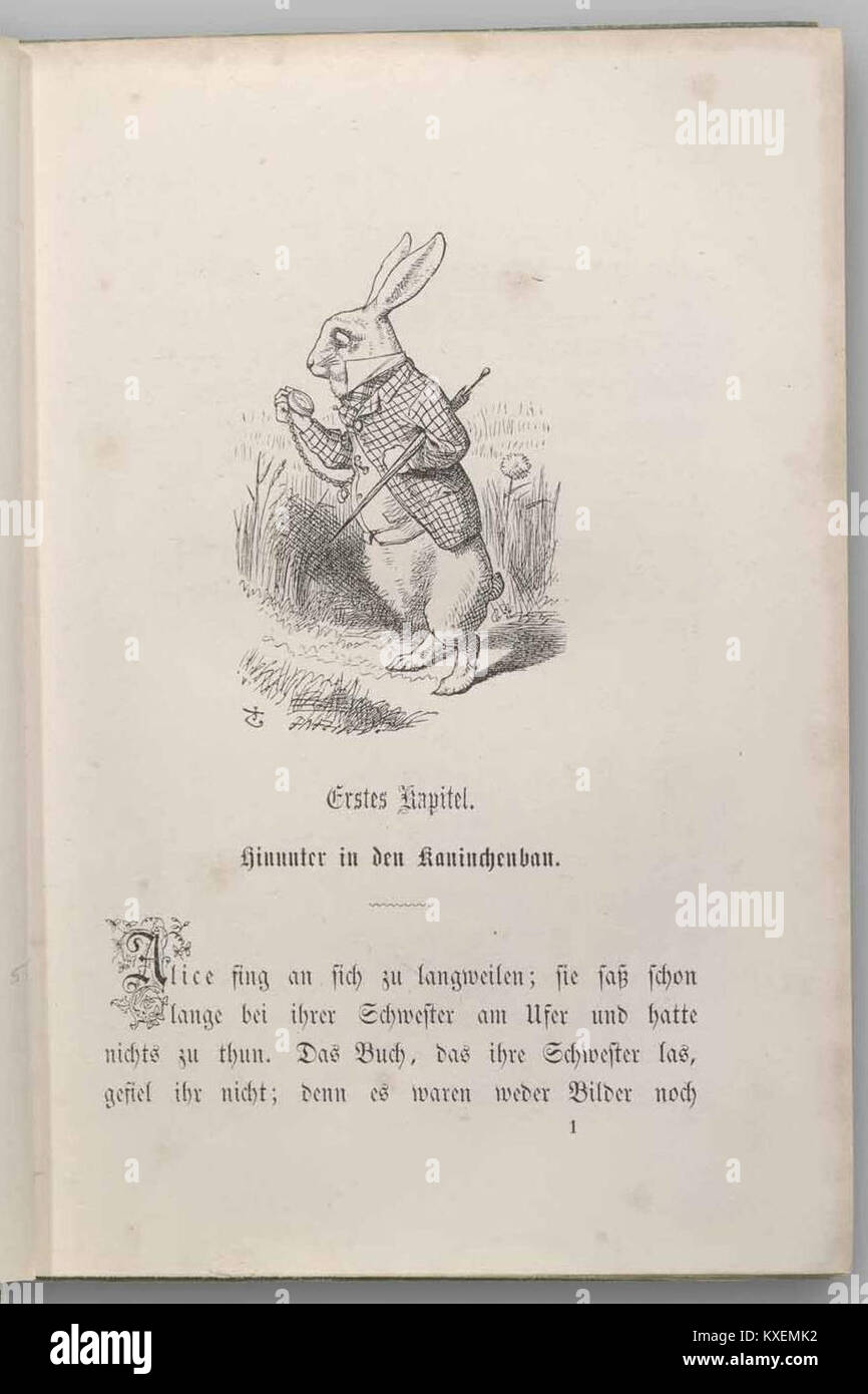 This illustration is part of the German edition of 'Alice's Adventures ...