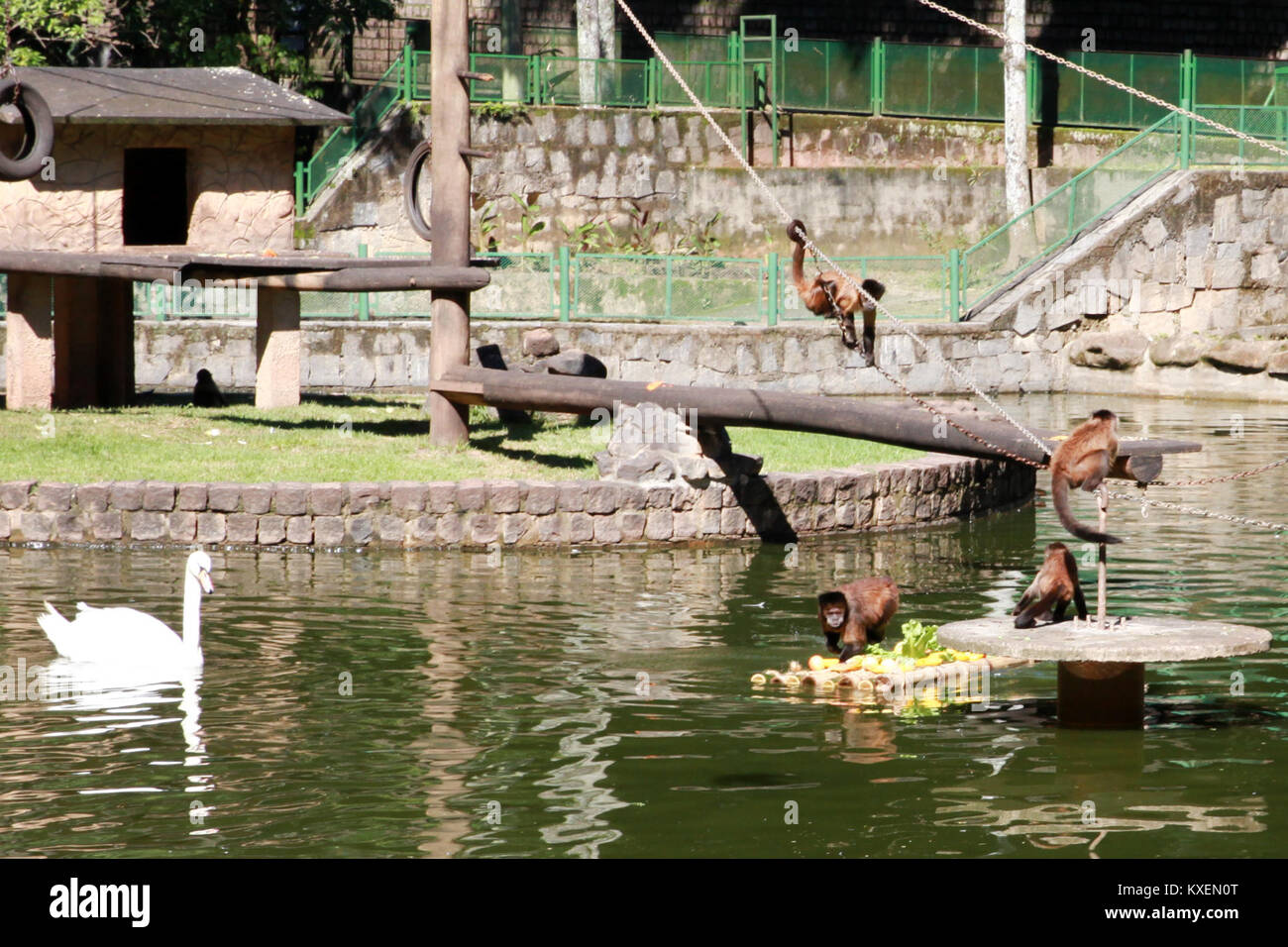 Supply chain food industry hi-res stock photography and images - Alamy