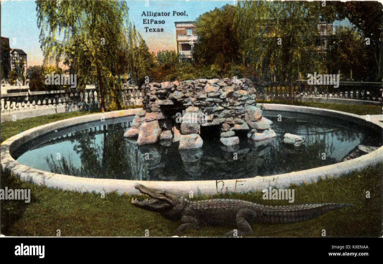 Alligator Pool, El Paso, Texas Stock Photo - Alamy