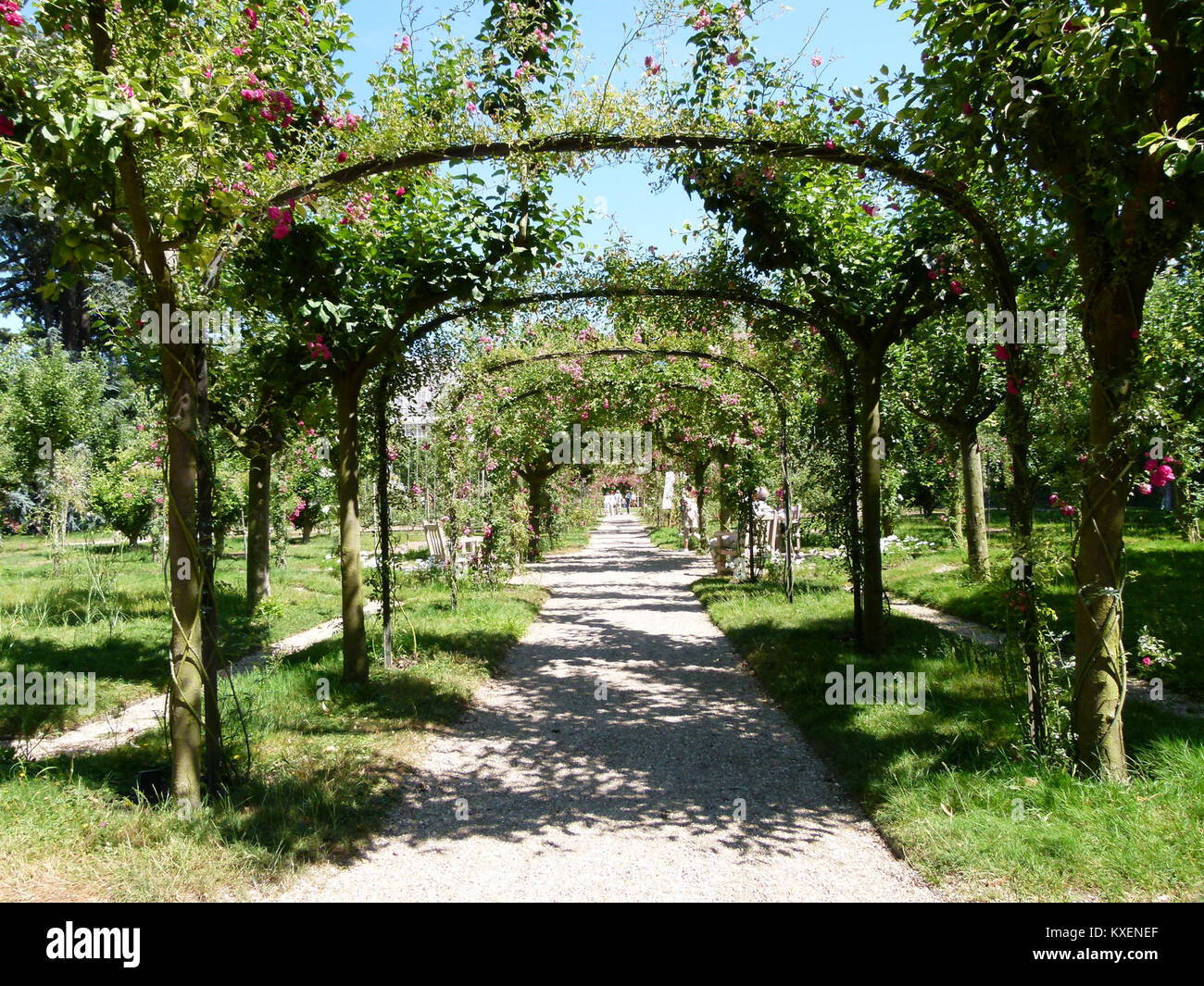 Jardin albert kahn hi-res stock photography and images - Alamy