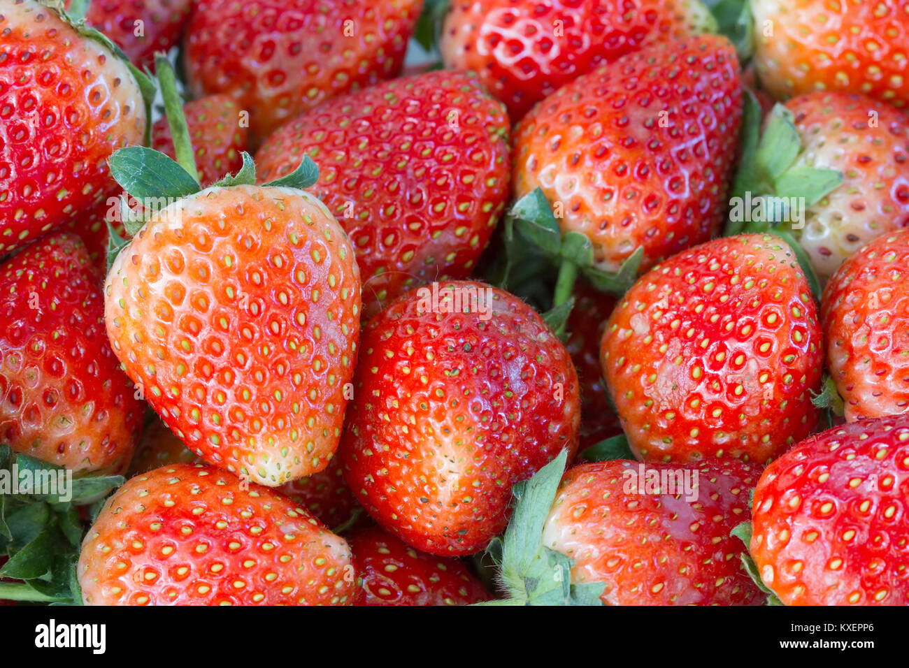 close up of Strawberry background, Fresh organic berries Stock Photo ...